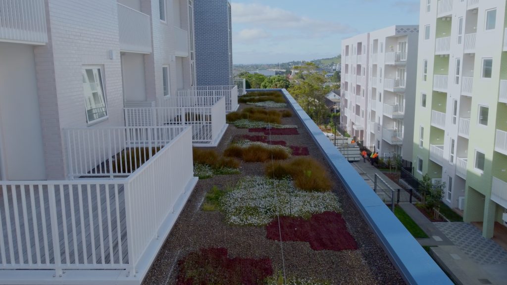 Permatec Extensive Green Roof System - Neuchâtel Extensive Green Roof